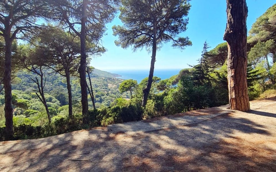Parc Perdicaris ! Le charme naturel de Tanger - Maroc Voyage de Rêve