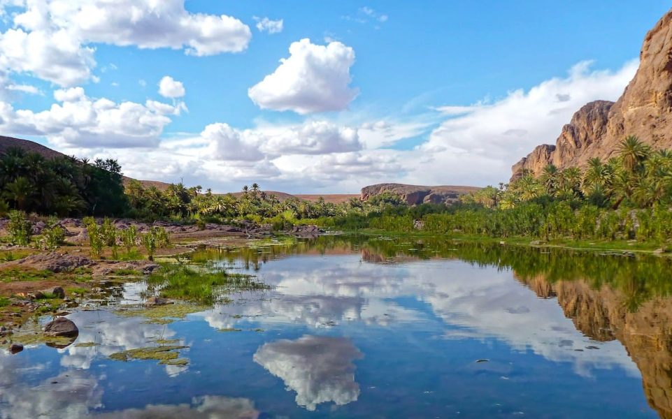 Oasis de Fint : Un coin de paradis cachée près de Ouarzazate - Maroc ...