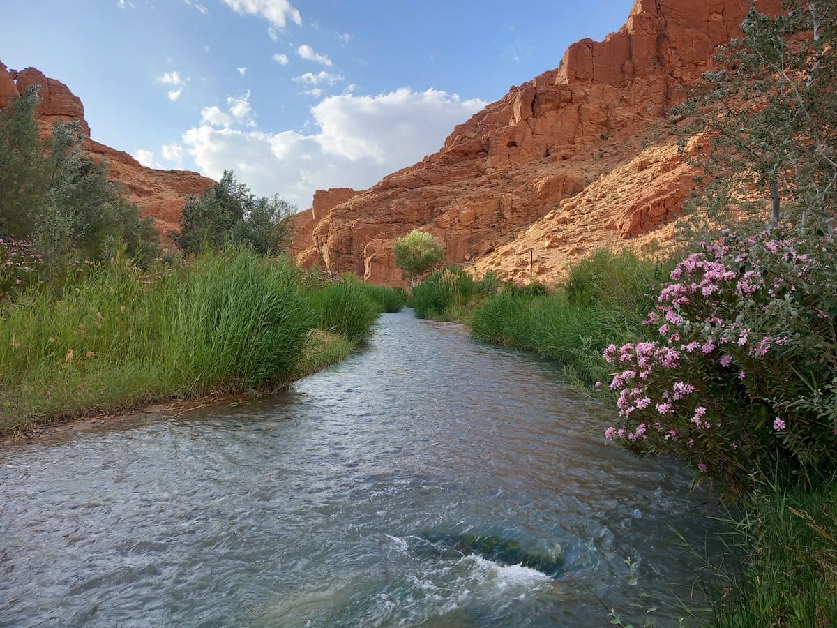 Circuit : 4 jours dans le sud marocain - Maroc Voyage de Rêve